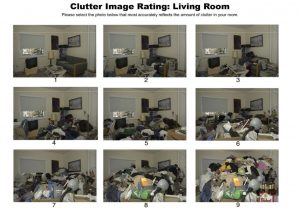 Hoarding Rating Scale 1-9 | 5 Stars